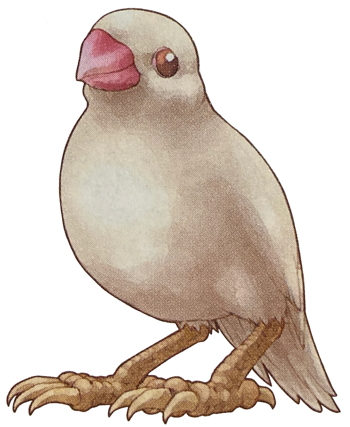 Ricebird | Magical Vacation Wiki | Fandom