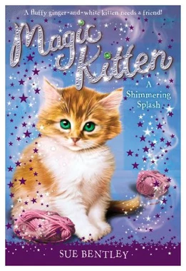 A Shimmering Splash | Magic Animals Wiki | Fandom