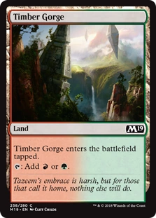 Timber Gorge | MagicArena Wiki | Fandom