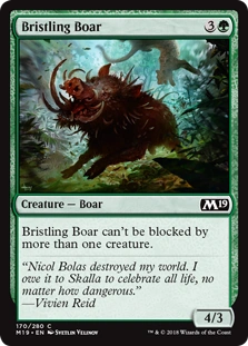Bristling Boar | MagicArena Wiki | Fandom