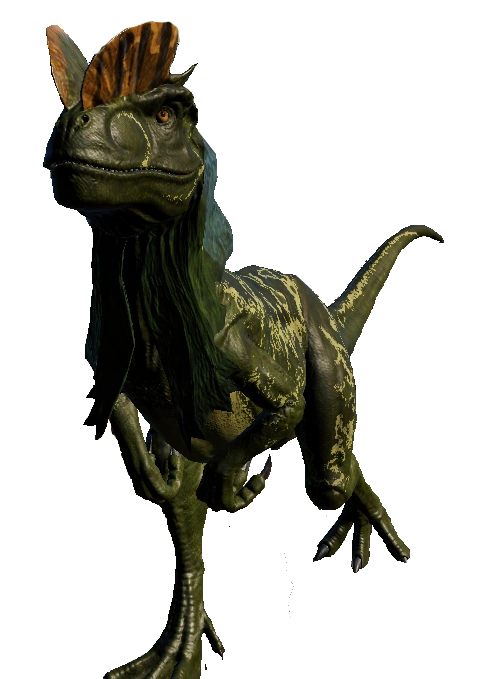 Beauty | Magic Dog Studios Wiki | Fandom