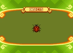 Ladybug | Magician's Quest Wiki | Fandom