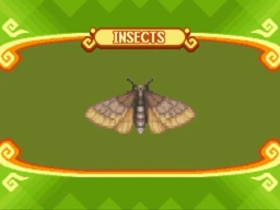 Moth | Magician's Quest Wiki | Fandom