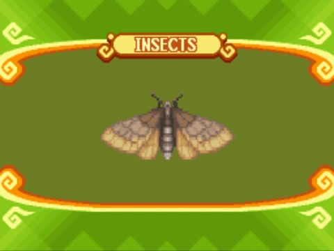 Moth | Magician's Quest Wiki | Fandom