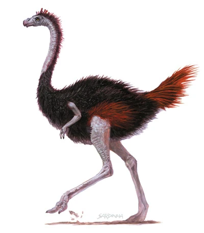 Abrian | Magickverse Encyclopedia | Fandom