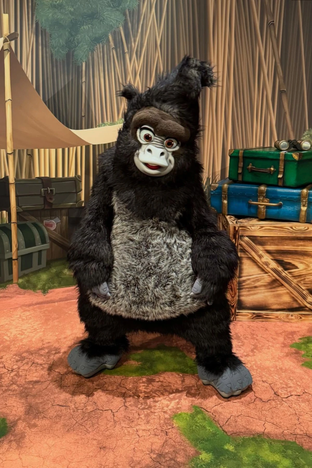 Terk | MagicMarker Wiki | Fandom