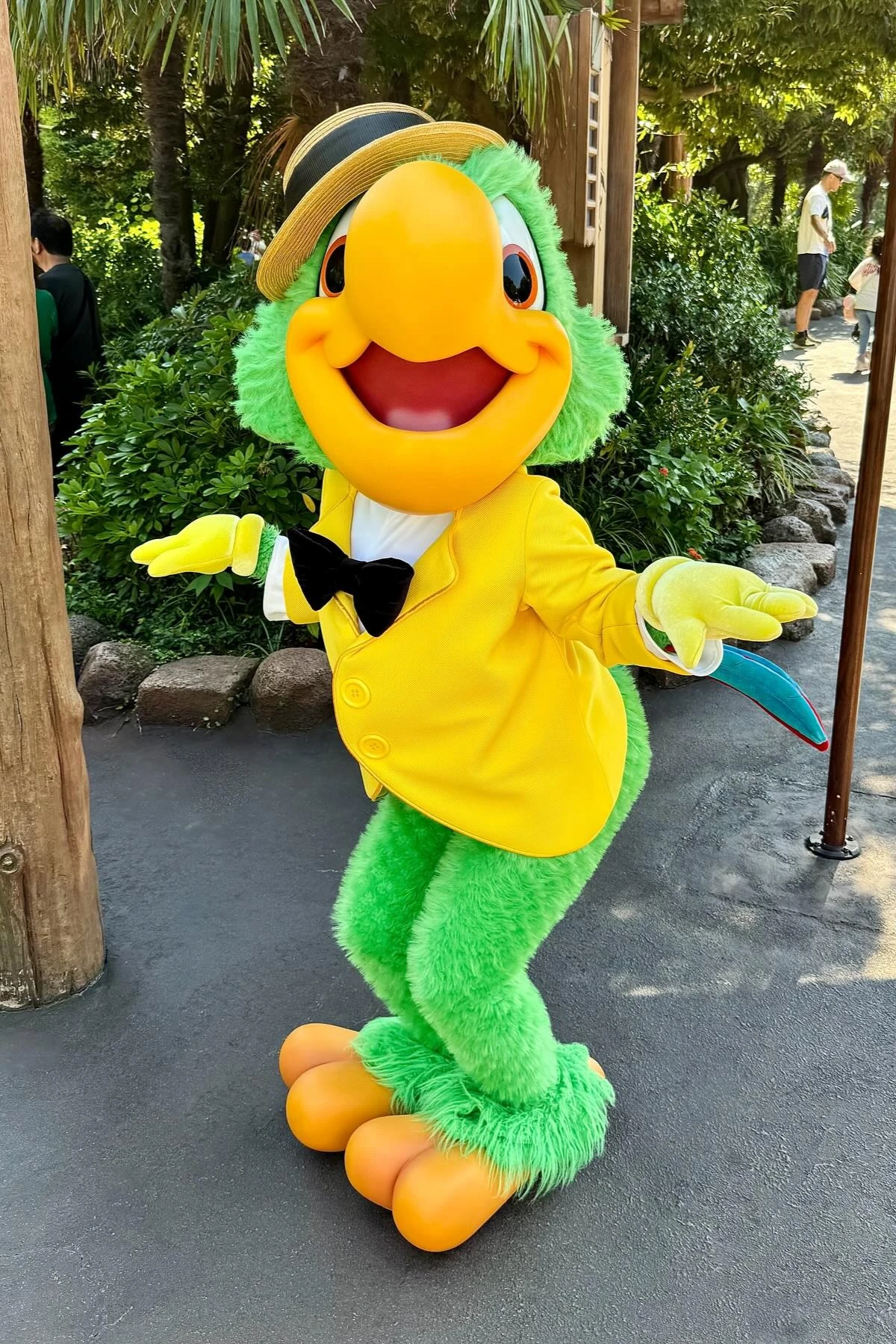 Jose Carioca | MagicMarker Wiki | Fandom