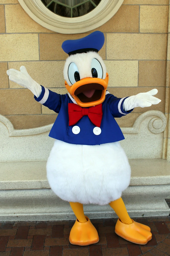Donald Duck | MagicMarker Wiki | Fandom