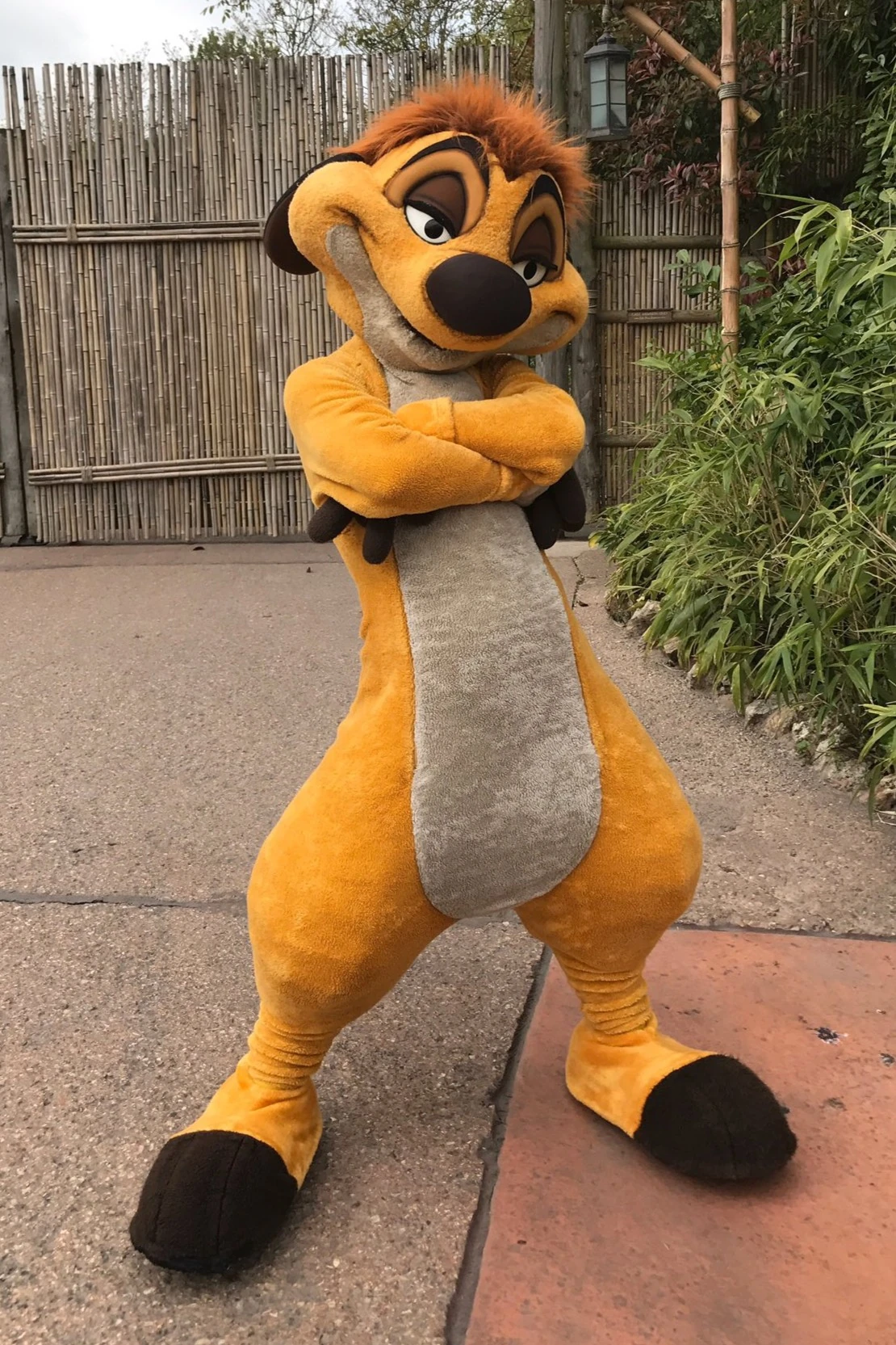 Timon | MagicMarker Wiki | Fandom