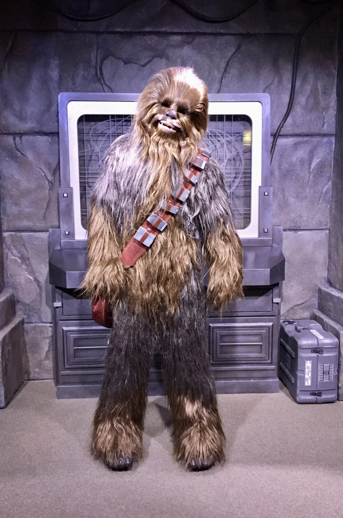 Chewbacca | MagicMarker Wiki | Fandom