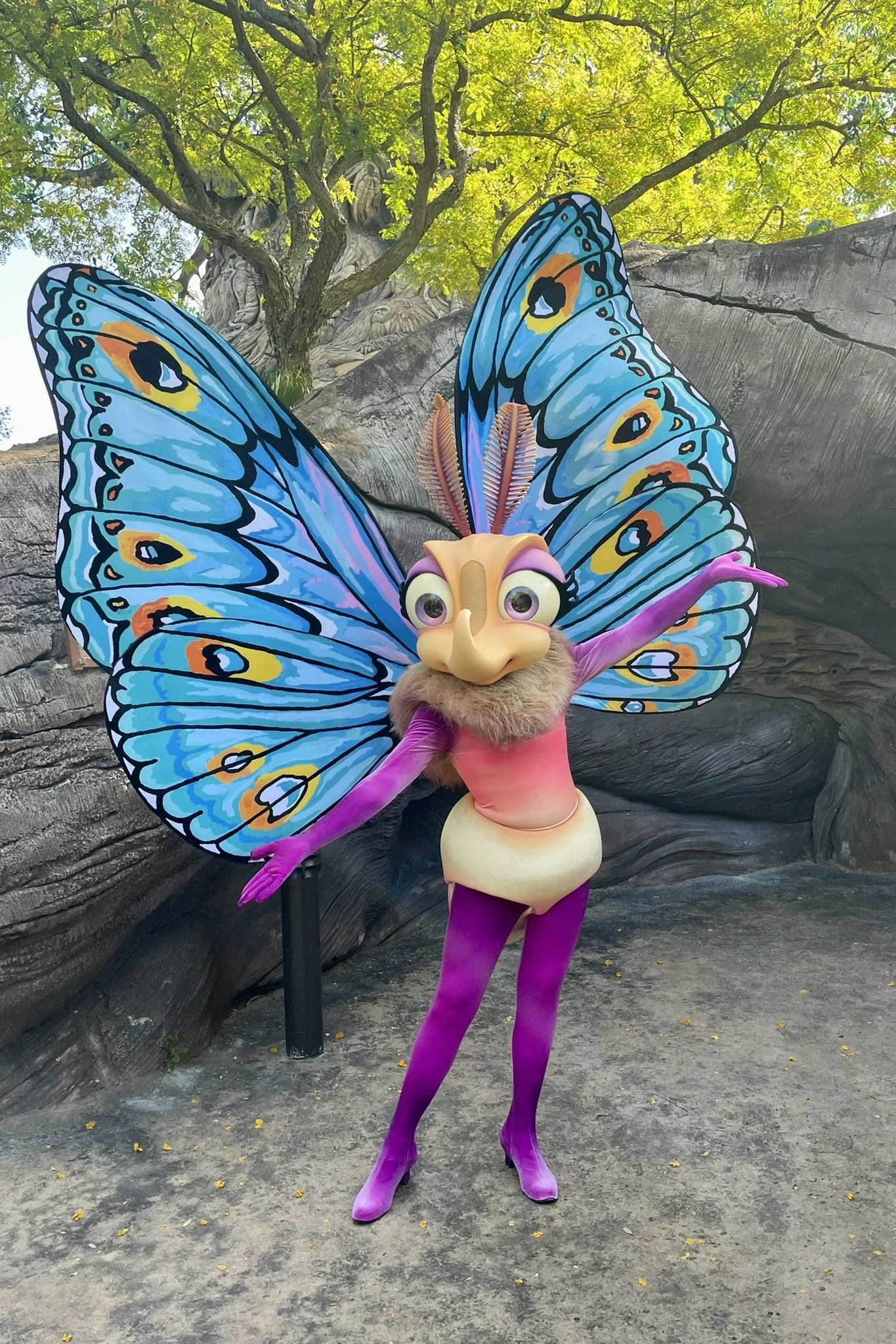 Gypsy | MagicMarker Wiki | Fandom