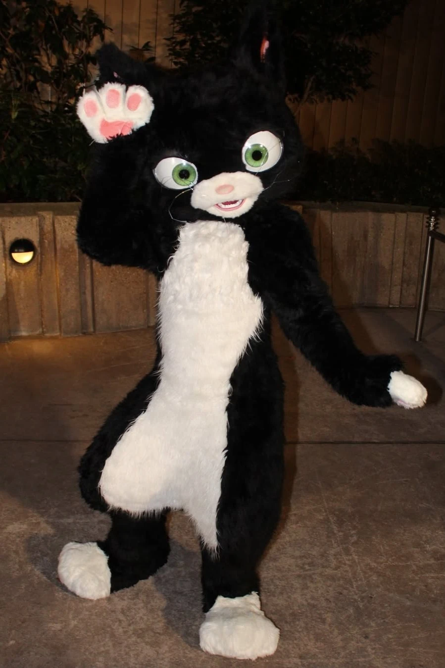 Mittens | MagicMarker Wiki | Fandom