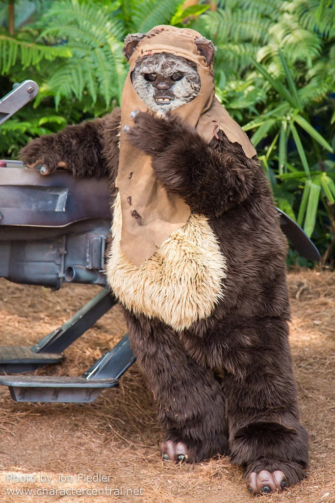 Wicket | MagicMarker Wiki | Fandom