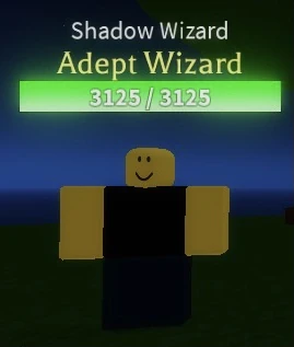 Shadow Wizard | Magics and Curses Wiki | Fandom