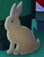 Dorothy Ann Hudson/Designs | The Magic School Bus + Rides Again Wiki ...