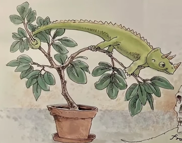 Liz Ard | The Magic School Bus + Rides Again Wiki | Fandom