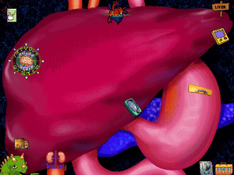 The Liver | The Magic School Bus + Rides Again Wiki | Fandom