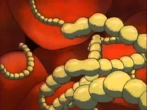 Inside Ralphie | MagicSchoolBusTVSeries Wiki | Fandom