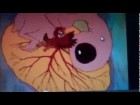 Cracks a Yolk | MagicSchoolBusTVSeries Wiki | Fandom