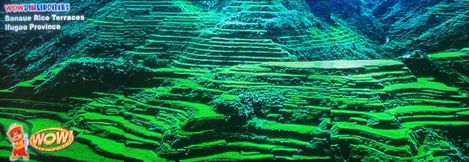 WOW! Magic Sing pictures | Magic Sing Wiki | Fandom