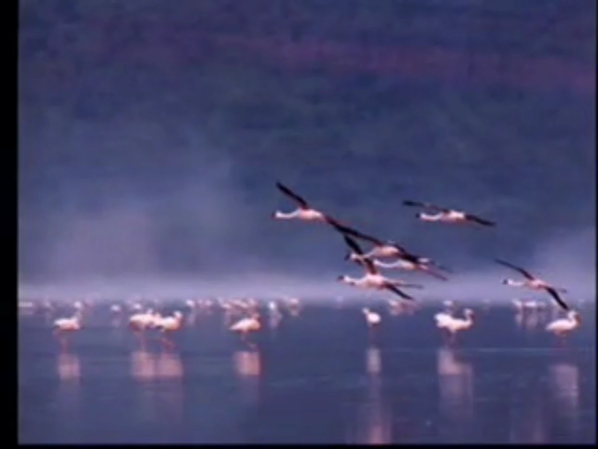 Famax Singalong | Magic Sing Wiki | Fandom