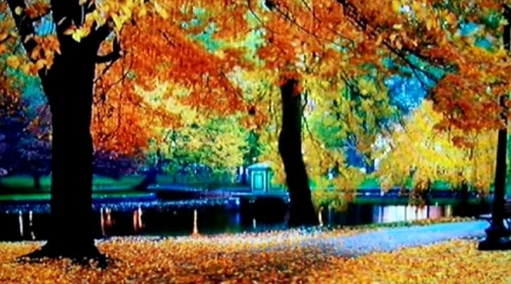 Category:ET 4500 Photos | Magic Sing Wiki | Fandom