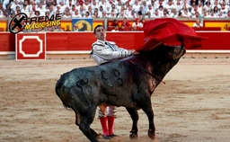 Magic Sing Custom Backgrounds | Magic Sing Wiki | Fandom