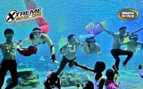 Magic Sing Custom.Backgrounds (Updated) | Magic Sing Wiki | Fandom