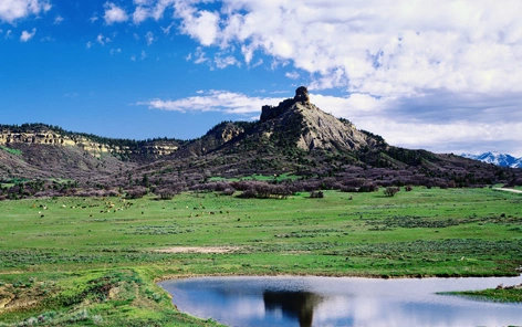 Magic Singalong/Version 5.74HM | Magic Sing Wiki | Fandom