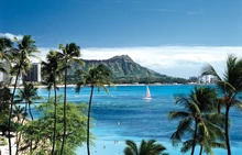 Magic Singalong | Magic Sing Wiki | Fandom