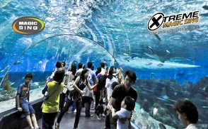 Magic Sing Custom.Backgrounds (Updated) | Magic Sing Wiki | Fandom