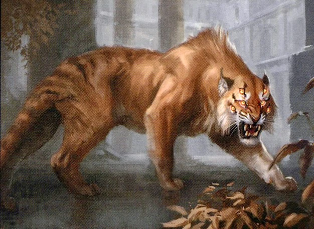 Maaka | Magic: the Gathering Wiki | Fandom