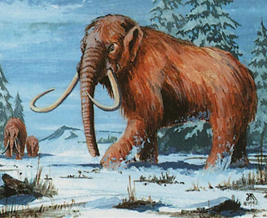 Mammut da Guerra (War Mammoth) | Magic: the Gathering Wiki | Fandom