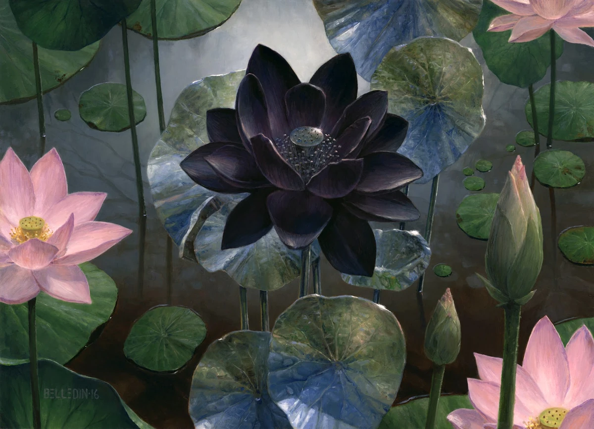 Black Lotus | Magic: the Gathering Wiki | Fandom