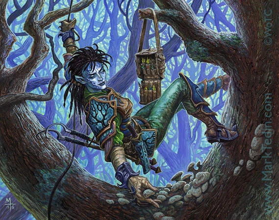 Ranger di Cielsudario (Skyshroud Ranger) | Magic: the Gathering Wiki ...