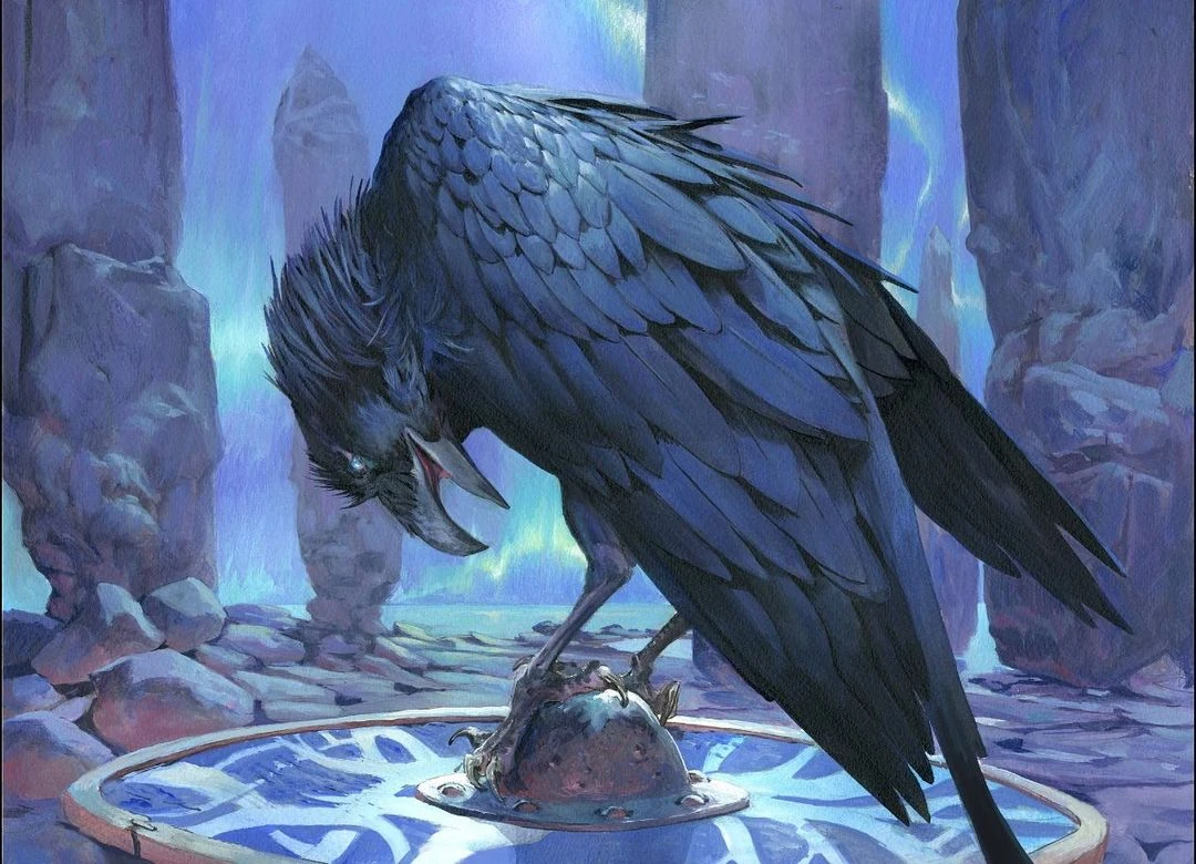 Corvo | Magic: the Gathering Wiki | Fandom