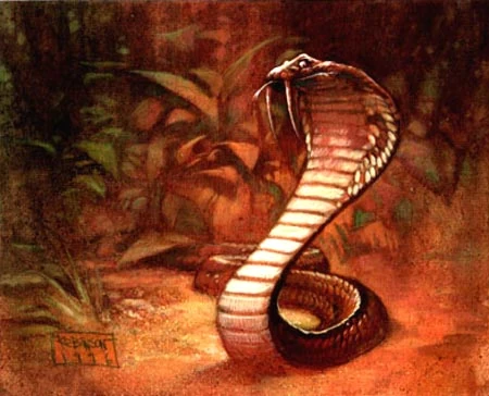 Cobra dai Denti a Sciabola (Sabertooth Cobra) | Magic: the Gathering ...