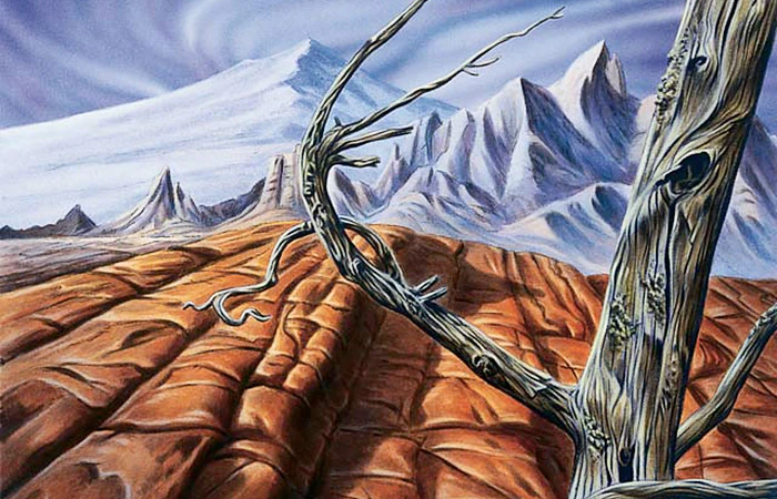 Lande Desolate (Wasteland) | Magic: the Gathering Wiki | Fandom