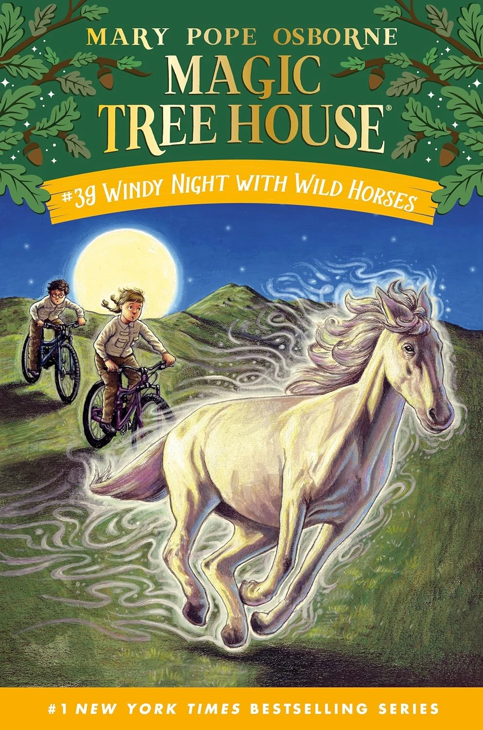 Windy Night with Wild Horses | The Magic Tree House Wiki | Fandom