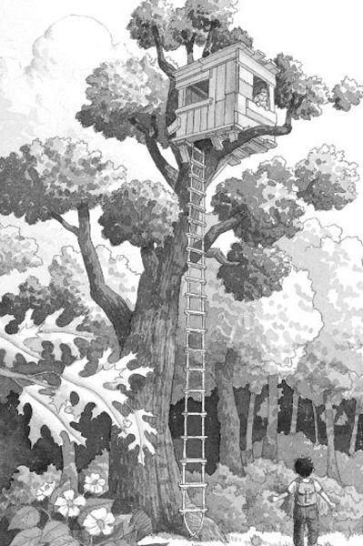 how to draw jack from magic tree house