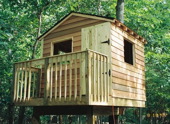 Magic Tree House (location) | Magic Tree House Wiki | Fandom