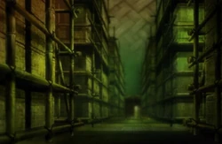 The Preserver | Magi-Nation Wiki | Fandom