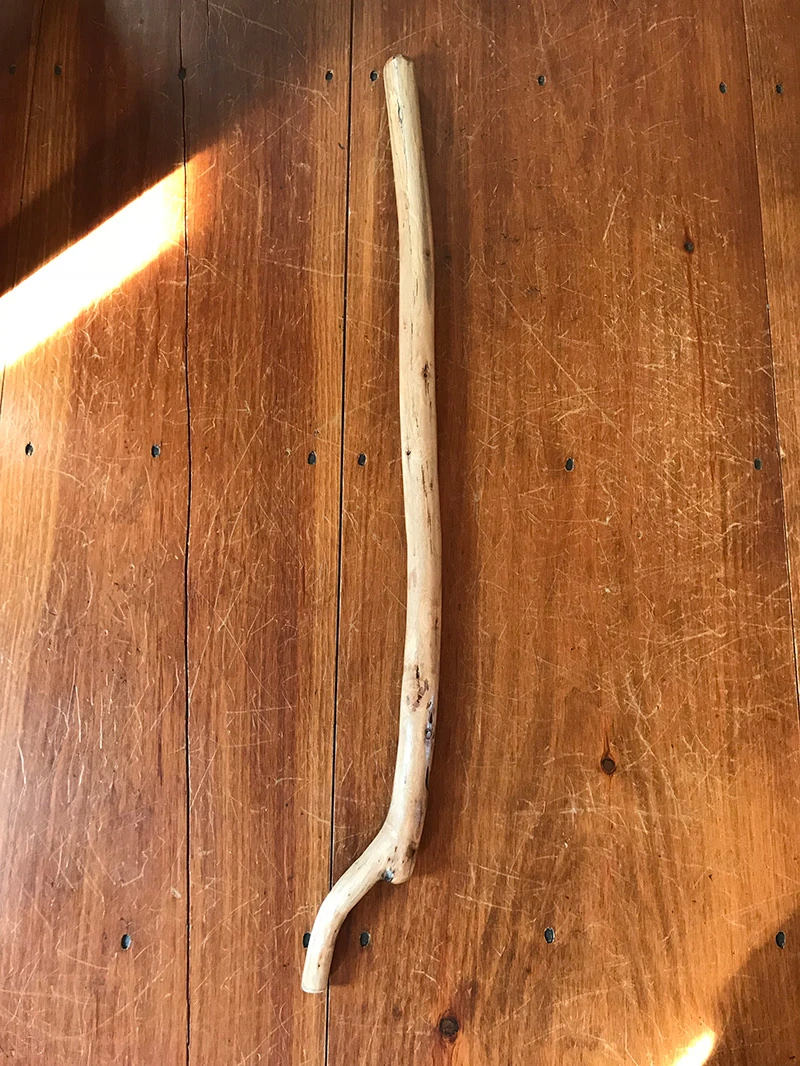 Walking Stick | MAGIQ Wiki | Fandom