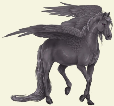Black Pegasus