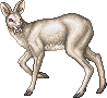 White Cervinus Deer | Magistream Wiki | Fandom