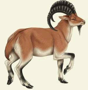 Ibex | Magistream Wiki | Fandom