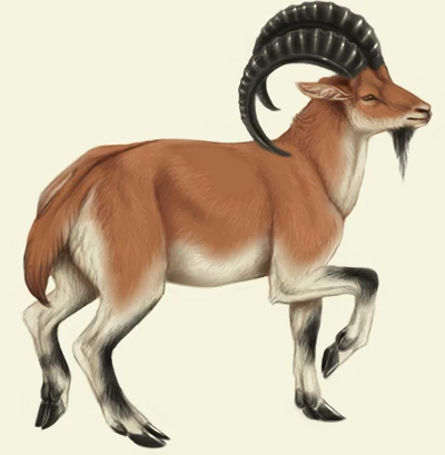 Ibex | Magistream Wiki | Fandom