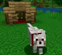 Magma | MagmaMusen Wiki | Fandom