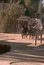 Nemesis | Magnificent Seven Wiki | Fandom