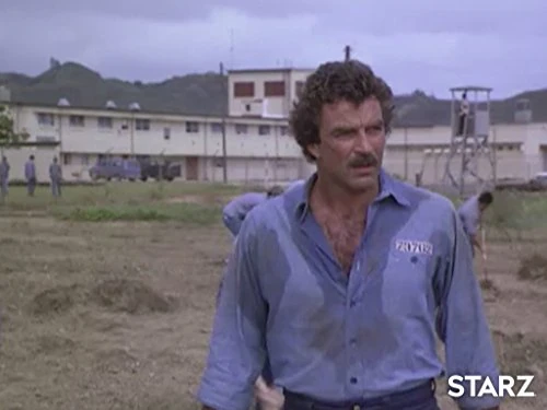 A Pretty Good Dancing Chicken | Magnum, P.I. Wiki | Fandom